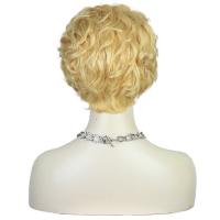 China Manufacturers Human Hair Pixie Cut Wig Perruque Advantage Soft Shiny No Tangle Shedding 0.5KG for sale