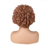 China Direct Afro Kinky Curly Short Bob Wigs Length Short 0.5KG for Your Requirements for sale