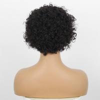 China 100% Human Hair Pixie Cut Curly Wig Lightweight and Perfect for Any Occasion for sale