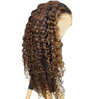 China Brazilian Virgin Hair Deep Wave Curly HD Lace Frontal Long Wig with Human Hair Type for sale