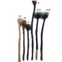 China Human Hair Bulk for Woman No Weft Sister Dreadlocks Hair Crochet Braids Locs Extensions for sale