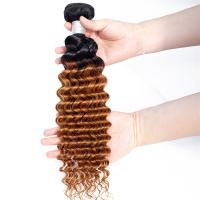 China Full Cuticle Ombre Deep Wave Hair Bundles The Perfect Blend of and Affordability for sale