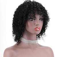 China Hot Beauty Short Curly 100% Brazilian Human Hair Pixie Cut Wigs with Average Size for sale