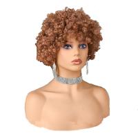 China Hot Beauty Short Curly 100% Brazilian Human Hair Pixie Cut Wigs with Average Size for sale