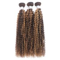 China Raw Double Drawn Straight Human Hair Weft Bundles for 2022 P4/27 Hair Extensions for sale
