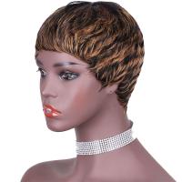 China Swiss Lace Base Material Straight Pixie Cut Full Machine Wig Made with 100% Human Hair for sale