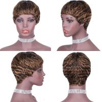 China Swiss Lace Base Material Straight Pixie Cut Full Machine Wig Made with 100% Human Hair for sale