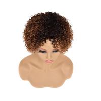 China Pixie Cut Afro Wig Remy Virgin Cuticle Aligned Human Hair Curly Bob Short Wig for Women for sale
