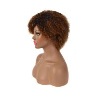 China Pixie Cut Afro Wig Remy Virgin Cuticle Aligned Human Hair Curly Bob Short Wig for Women for sale