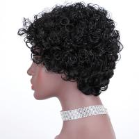 China Double Drawn Free Part Cap Size Average Size Curly Wigs Suitable Dying Colors ALL COLORS for sale