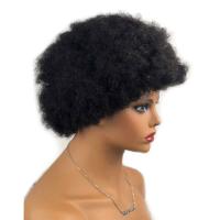 China Virgin Hair Perruque Pixie Cut Wig Short Afro Kinky Curly Wigs 100% Brazilian Hair for sale