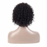 China Suitable Dying Colors ALL COLORS Human Hair Short Hair Wigs for Women Ready to Ship for sale