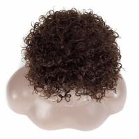 China Suitable Dying Colors ALL COLORS Human Hair Short Hair Wigs for Women Ready to Ship for sale