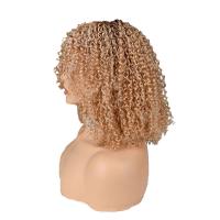 China 250% Density Afro Kinky Short Curly Pixie Cut Human Hair Wigs for Black Women from Top for sale