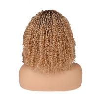China 250% Density Afro Kinky Short Curly Pixie Cut Human Hair Wigs for Black Women from Top for sale
