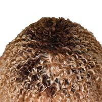 China 250% Density Afro Kinky Short Curly Pixie Cut Human Hair Wigs for Black Women from Top for sale