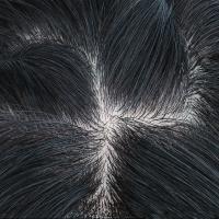 China 180% Density Remy Hair Toupee with Silk Base Top and 24mm Toupee Texture Length 30cm for sale