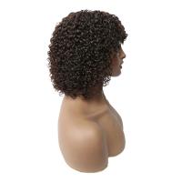 China Swiss Lace Base Short Pixie Cut Wigs for Black Women Raw Brazilian Virgin Afro Curly for sale