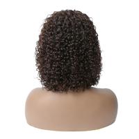 China Swiss Lace Base Short Pixie Cut Wigs for Black Women Raw Brazilian Virgin Afro Curly for sale