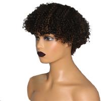 China Light Brown Afro Curly Wig Cuticle Aligned Short Pixie Cut Human Hair Wigs with Bangs for sale