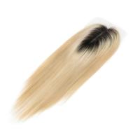 China Silk Base European Ash Blonde Straight Clip On Human Hair Topper With Hd Lace For Women for sale