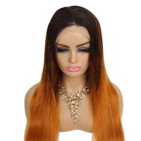China Experience the Full Cuticle Brazilian Human Hair Lace Front Wig T1B/4/30HL Ombre Color for sale