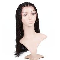 China Natural Unprocessed Silk Straight Full Hand Tied HD Full Swiss Lace Wig Length 10-24inch for sale
