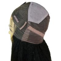 China 100% Unprocessed Human Virgin Remy Hair High Density Full Hand Tied Wig for White Women for sale