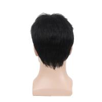 China 250g-450g Human Hair Wigs for Men 6inch Length Direct from Manufacturers at Best for sale