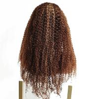 China Remy Hair Brazilian Virgin Human Hair Kinky Curly Lace Front Wigs P4/27 for Black Women for sale