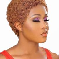 China Afro Kinky Curly Short Human Hair Machine Made Wigs for Men Brazilian Hair for sale
