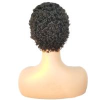 China Machine Made Short Curly Human Hair Wig Afro Curly No Lace Closure Virgin Brazilian for sale
