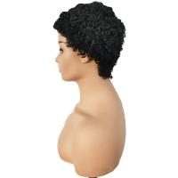 China Machine Made Short Curly Human Hair Wig Afro Curly No Lace Closure Virgin Brazilian for sale