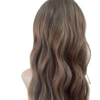 China European Cambodian 13x6 HD Lace Frontal Body Wave Wig for Dying ALL COLORS for sale