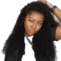 China HD Swiss Lace Front Mongolian Peruvian 13x4 Afro Kinky Curly Human Hair Wig with Baby Hair for sale