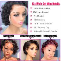China 8inch Human Hair Wigs 360 Lace Front Pixie Curls Wig for Soft and Shiny Hair for sale