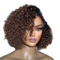 China Top Human Hair Brazilian Pixie Cut Curly Full HD Lace Glueless Side Part Wig for Women for sale