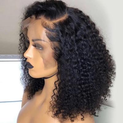 China Vietnamese Super Double Drawn Human Raw Hair Hd Lace Wig with Customizable Hair Color for sale