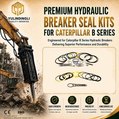 China High Temp Oil Resistant Fkm Ring CAT B Series Hydraulic Hammer Tools Seal Kits for sale