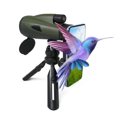 China Real 12x60 Monocular Phone Telescope Fmc Bak4 Prism Large Objective Lens for sale