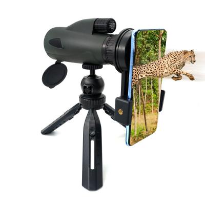 China HD 10-30x50 High Power Zoom Monocular Telescope BAK4 Prism FMC Lens For Concert for sale