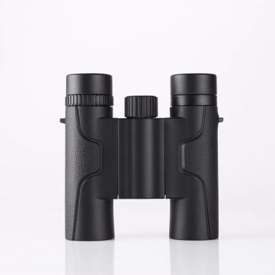 China Adults 10x25 Compact Binoculars High Powered With Low Light Night Vision for sale