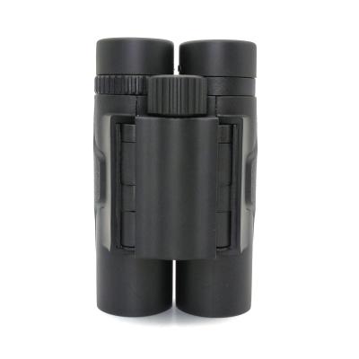China Shockproof Binoculars 10x25 Small Strong Binoculars For Travel for sale