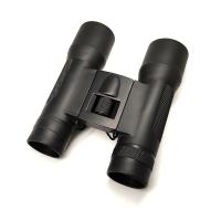 China Antifog Waterproof Binocular Telescope 10X32 With Low Light Vision Hunting Bird Watching for sale
