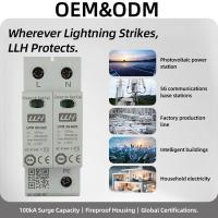 China Single Phase T2 SPD Whole House Power Surge Protector CE TUV 2P 320V 20KA 40KA for sale
