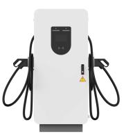 China DC CCS GBT CHAdemo DC EV Charging Station Dual Gun For Electricity Vehicle for sale