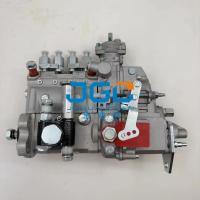 China Fuel Injection Pump 4D102 SAA4D9LE-3 4063925 4063493 6738-71-1110 for Excavator Engine Parts for sale