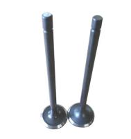 China 24V FE6 Intake Valve 13201-Z5503 13202-Z5504 Engine Exhaust Valve Seat Steel for sale
