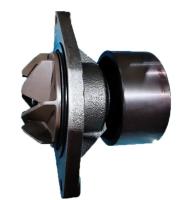China Diesel Engine Water Pump 4891252 5312296 3800984 for ISBe QSB4.5 QSB7 2.5kg for sale