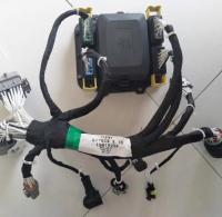 China Original Harness 098435634 for Excavator Parts High Temperature Resistance for sale